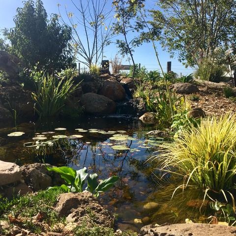 Gallery | Sanctuary Water Gardens